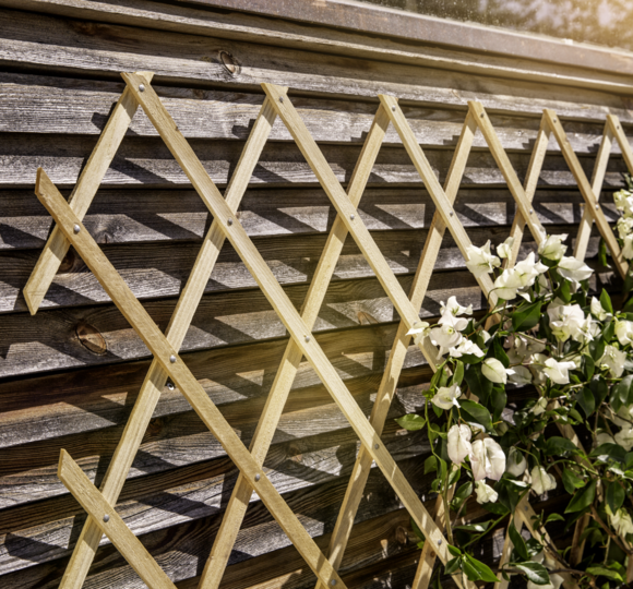 Wood trellis | products Windhager Home & Garden | Windhager Home & Garden
